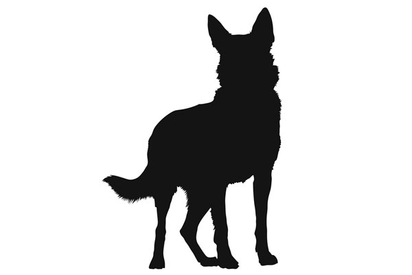 PSA III Club - PSAK9-AS