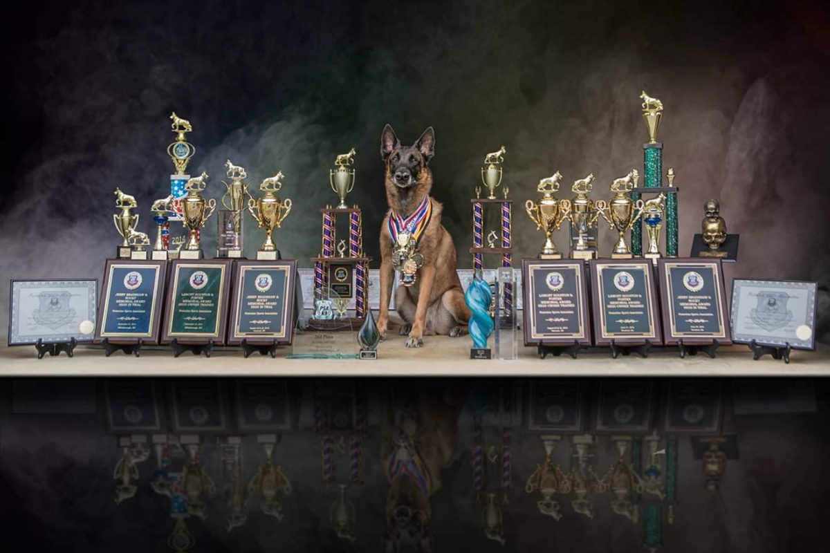 PSA III Club - PSAK9-AS