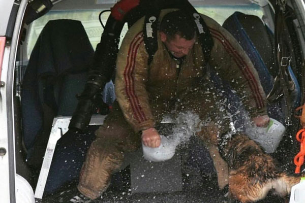 PSA Hall of Fame - PSAK9-AS