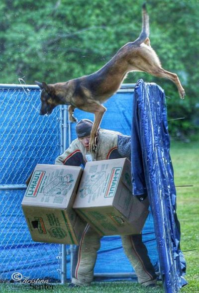 PSA III Club - PSAK9-AS