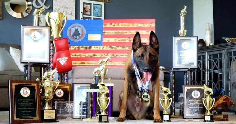 PSA III Club - PSAK9-AS