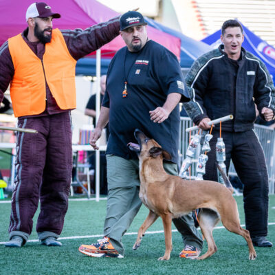 PSA Nationals 2020 - PSAK9-AS