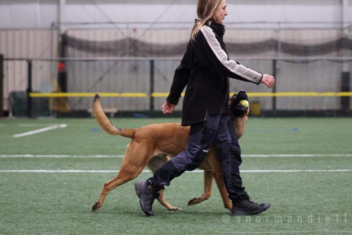 PSA III Club - PSAK9-AS